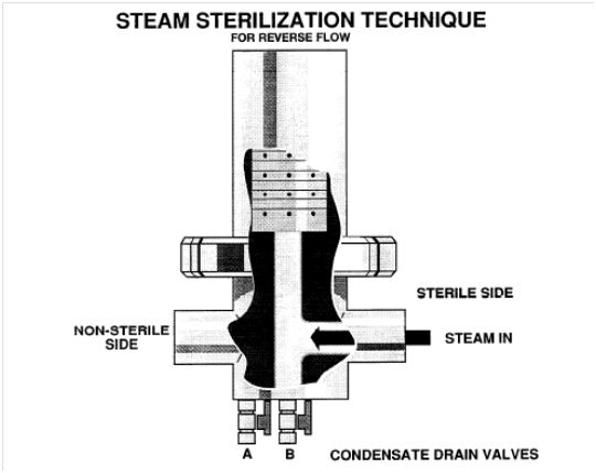 Steam Filter - Filtered culinary grade steam protects product purity